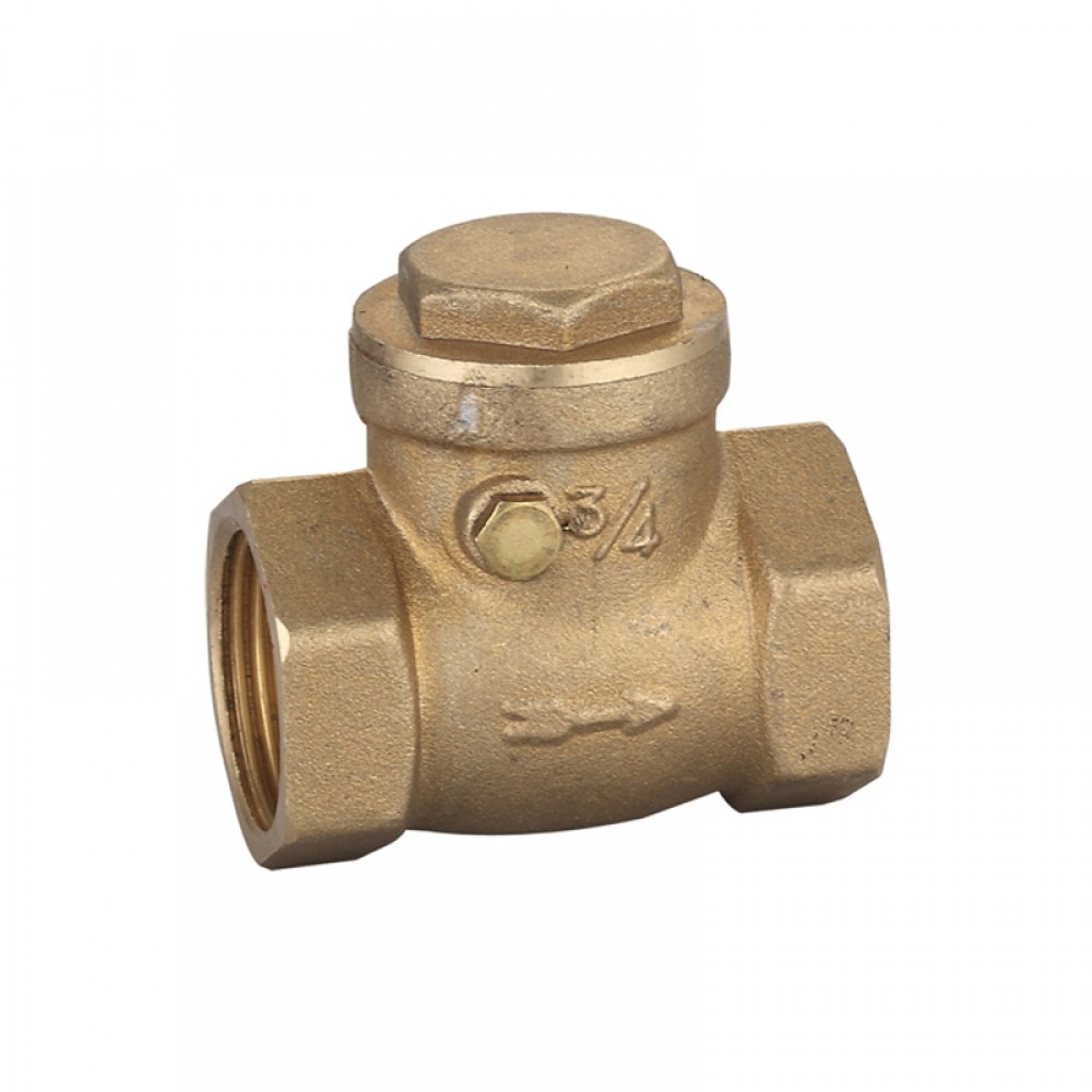 Check valve