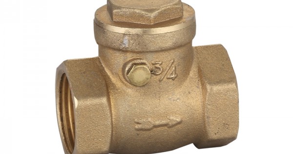 Check valve