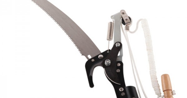 High branch saw